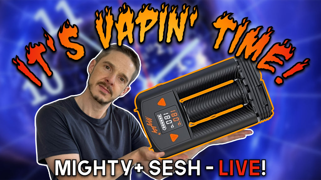 How To Germinate Cannabis Seeds (The Easy Way) | Legal Canadian Weed ...