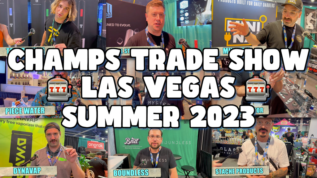 How To Germinate Cannabis Seeds (The Easy Way) | Legal Canadian Weed ...