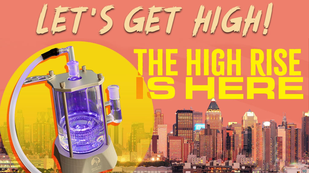 How To Germinate Cannabis Seeds (The Easy Way) | Legal Canadian Weed ...