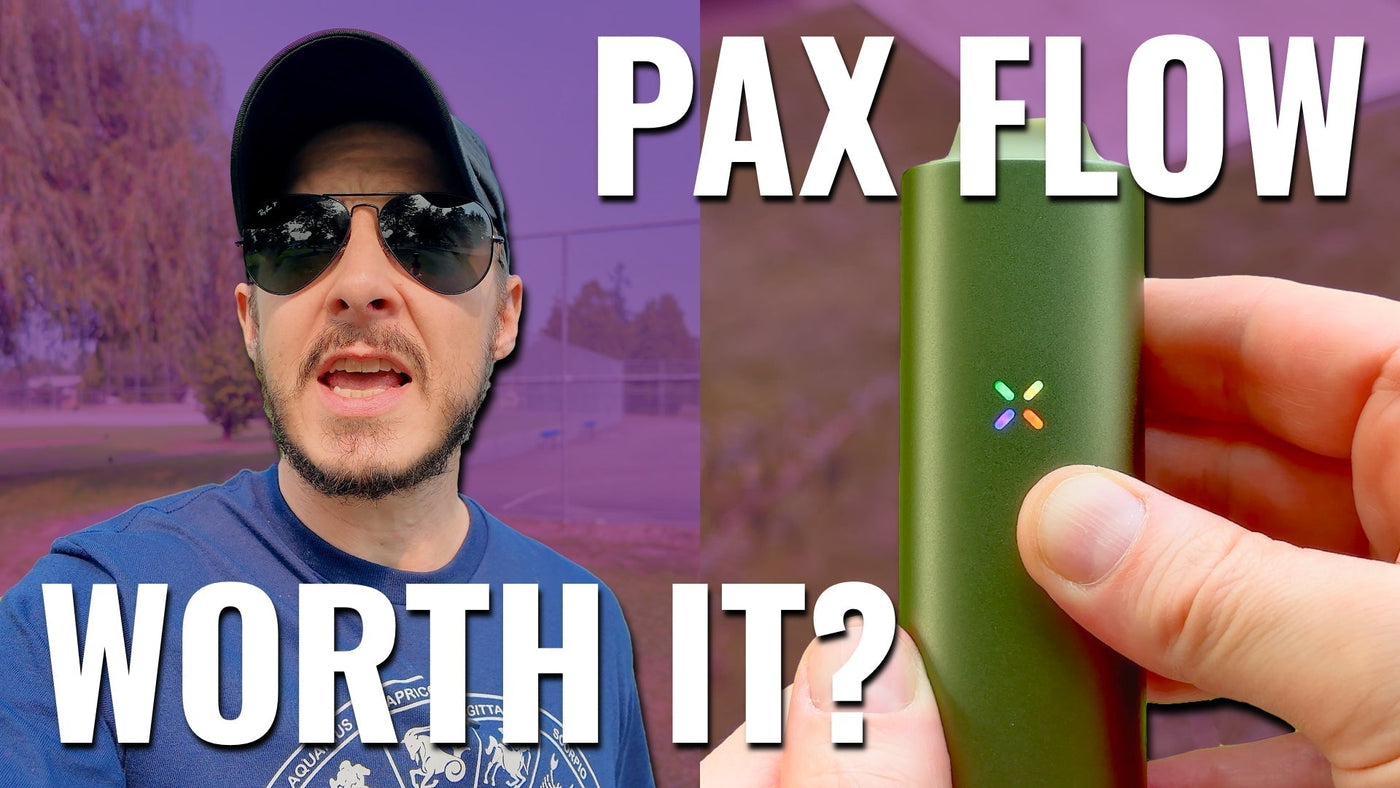 PAX Flow Review & PAX Flow vs PAX Plus: Specs, Performance & Cleaning ...