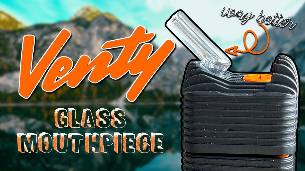 How To Germinate Cannabis Seeds (The Easy Way) | Legal Canadian Weed ...